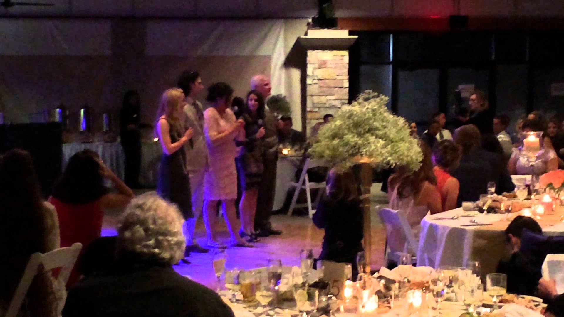Flash Mob Soars At Brookfield Zoo Dueling Piano Wedding