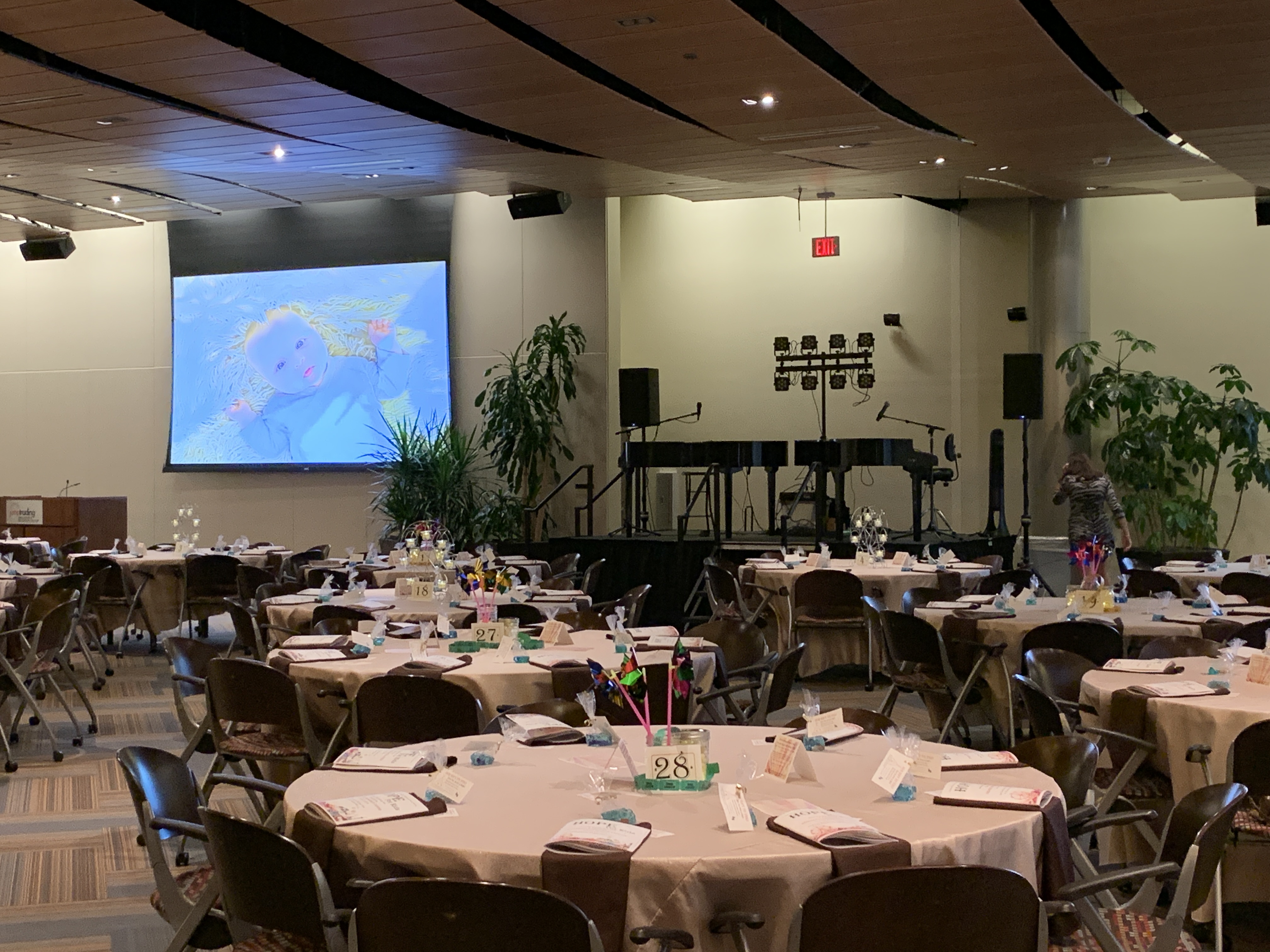 Pediatric Resource Center Fundraiser Event Peoria Illinois