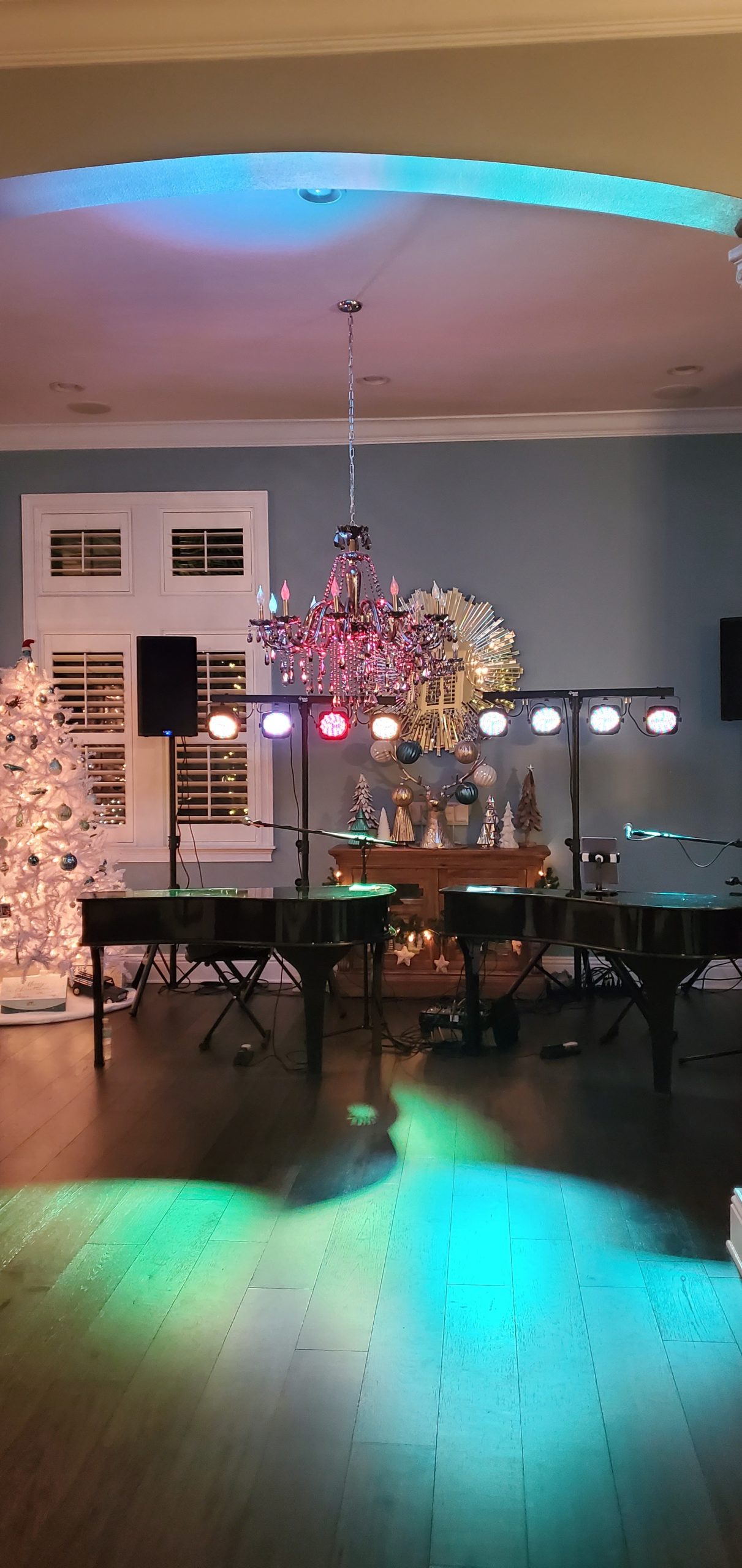 Constable Law Office Private House Holiday Party Tampa Florida